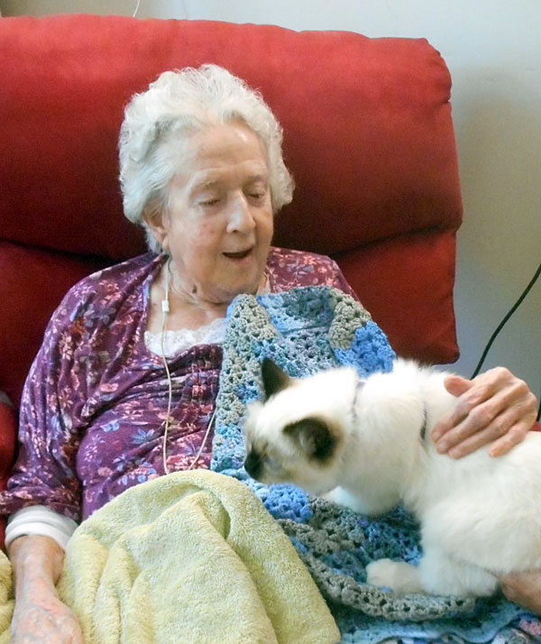 Tinker Tailor | Beaumont Care